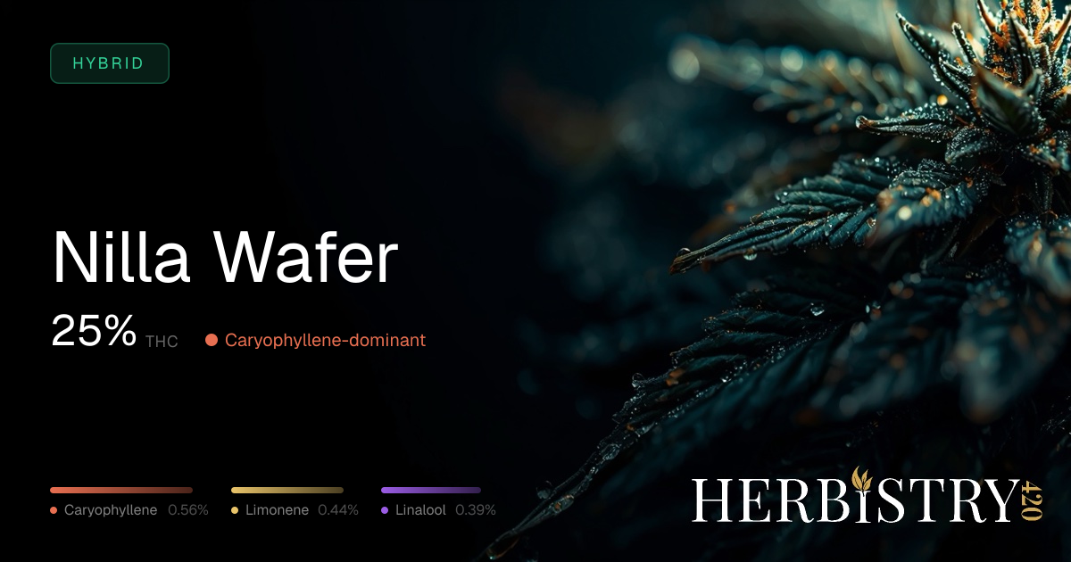 Nilla Wafer: Hybrid Cannabis Strain | Herbistry420